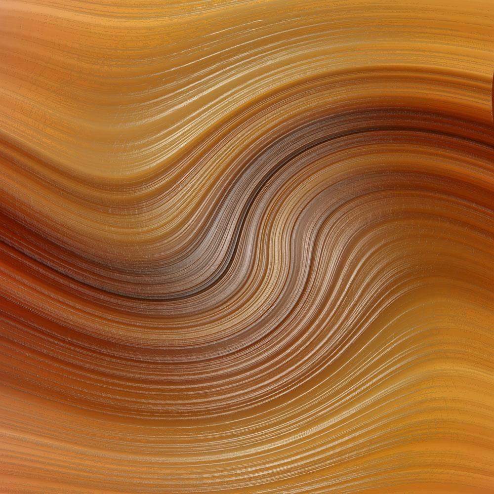 BioShield Paint Company | BioShield Paint Company