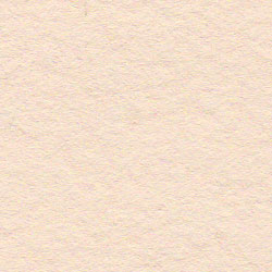 125 Almendra | BioShield Paint Company