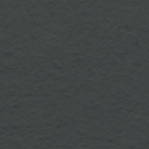 140 Onyx | BioShield Paint Company